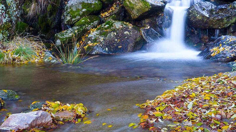 Qué ver en el Valle del Ambroz: Conoce sus maravillas - GudMornin